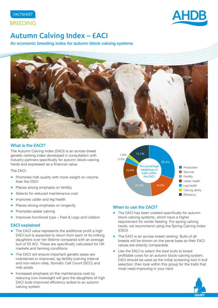 £ACI - Autumn Calving Index - Synetics