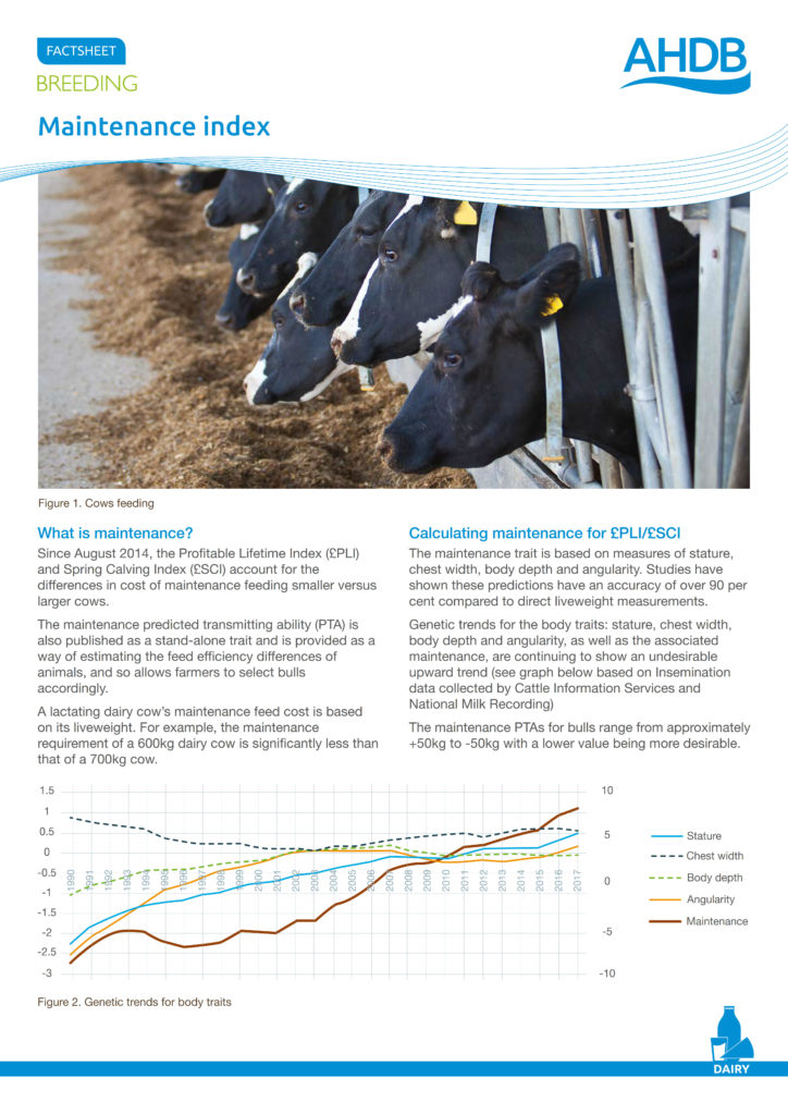Maintenance Index - Synetics