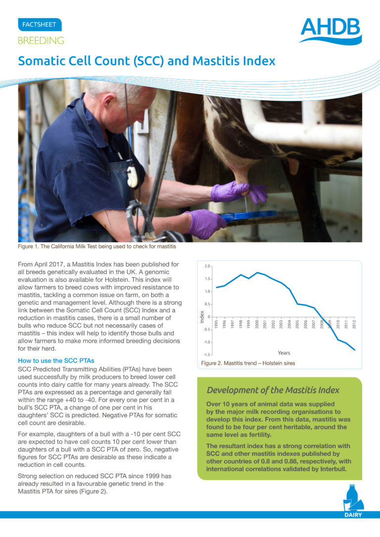 Somatic Cell Count & Mastitis Index - Synetics