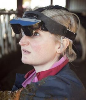 FREE WEBINAR with Sally Wilson - Synetics