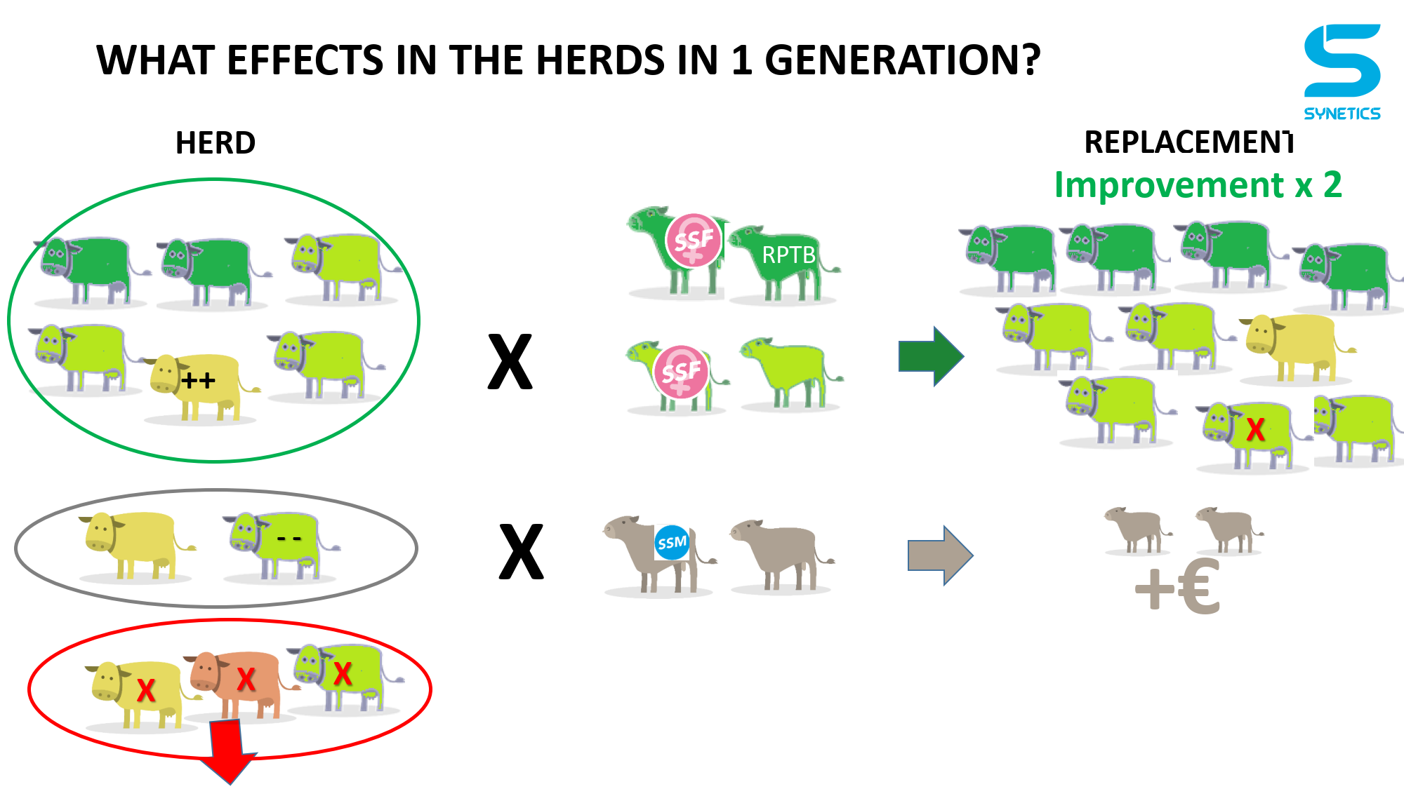 RPTB PRESENTATION_5 - Synetics