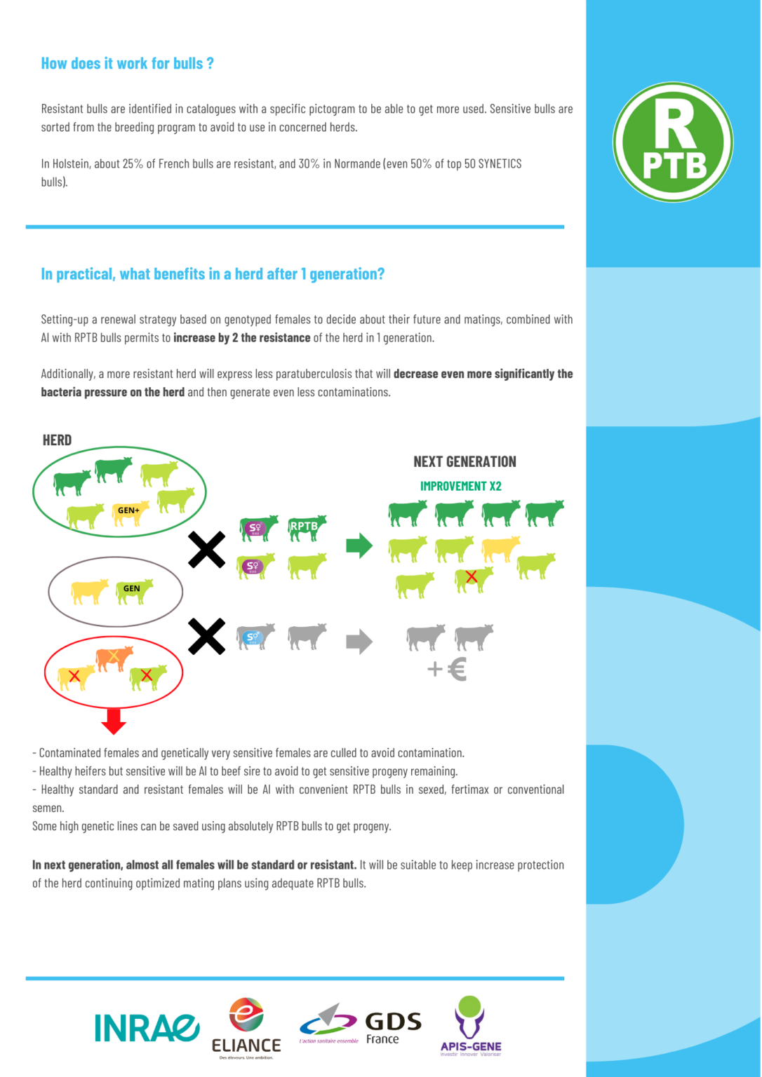 RPTB Resistant Sires - Synetics